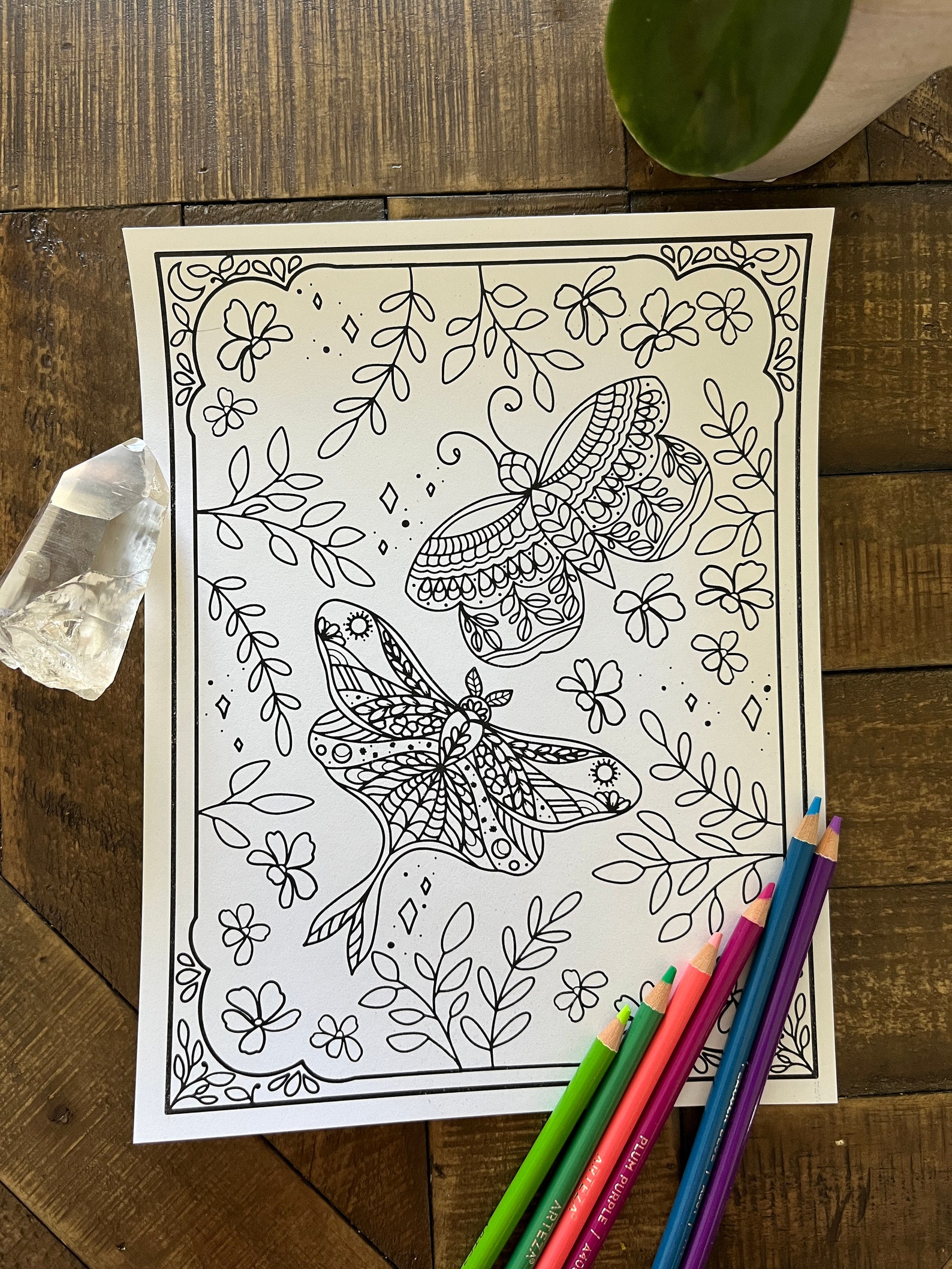 Butterfly and Moth - Printable Coloring Page - Summer Vibes Magical - Etsy