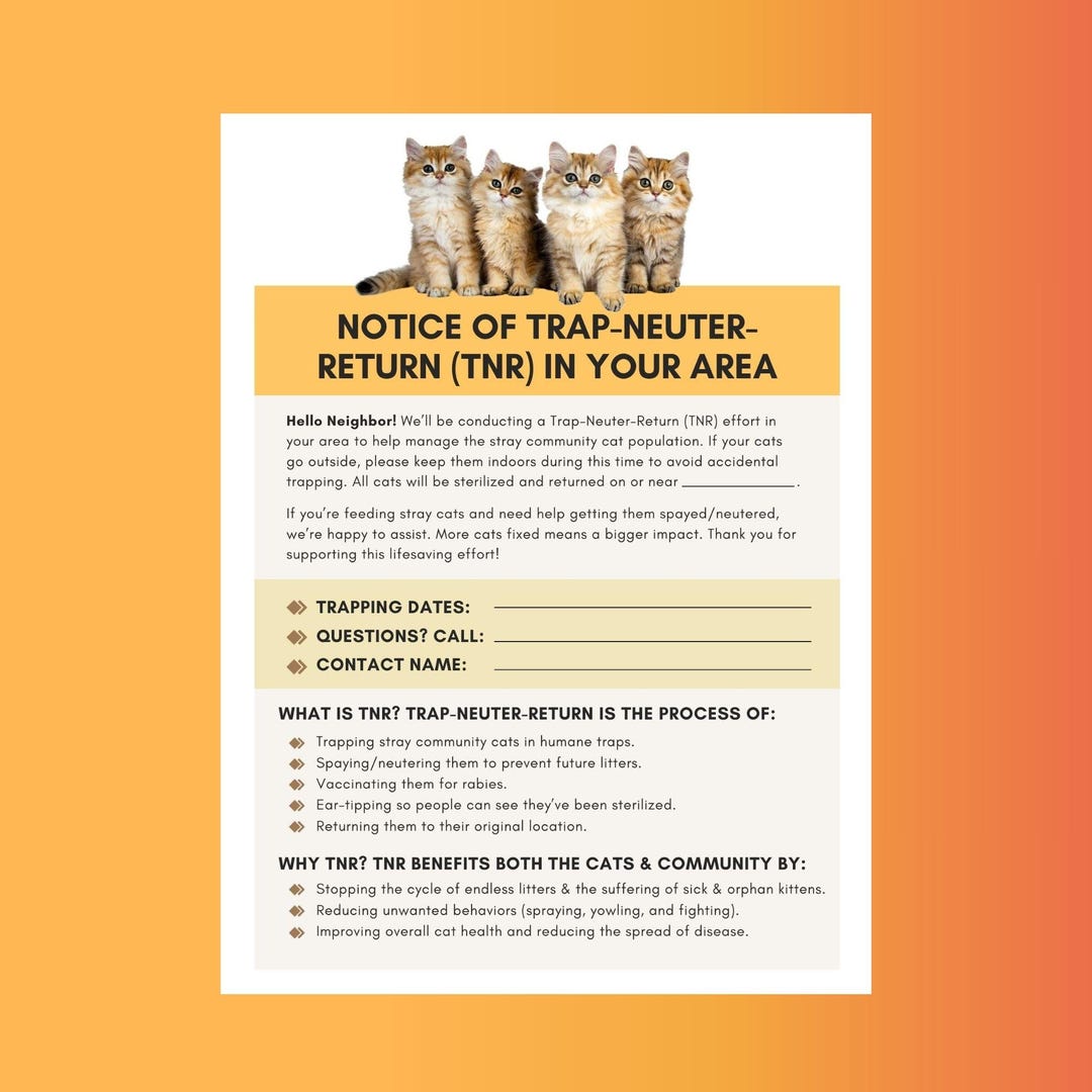 TNR Spay/neuter Notice Flyer: Community Cat Trapping Canva Template ...