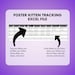 Foster Kitten Log/worksheet Packet, Foster Kitten Kit - XLSX, DOCX, PDF ...