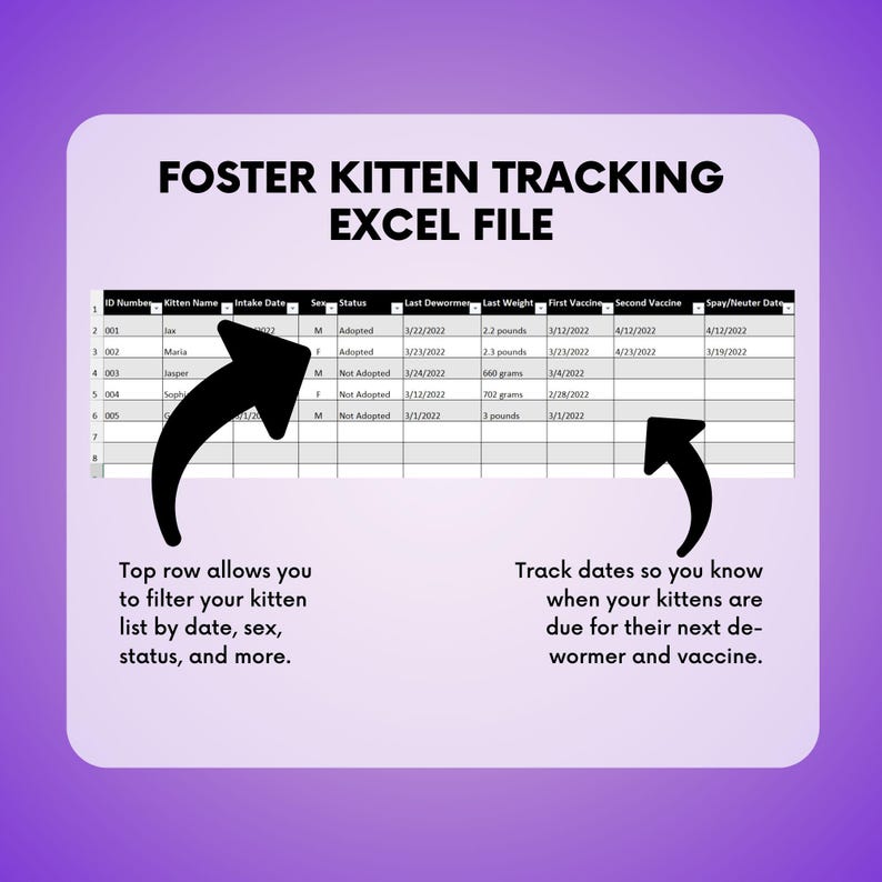 Foster Kitten Log/worksheet Packet, Foster Kitten Kit - XLSX, DOCX, PDF ...