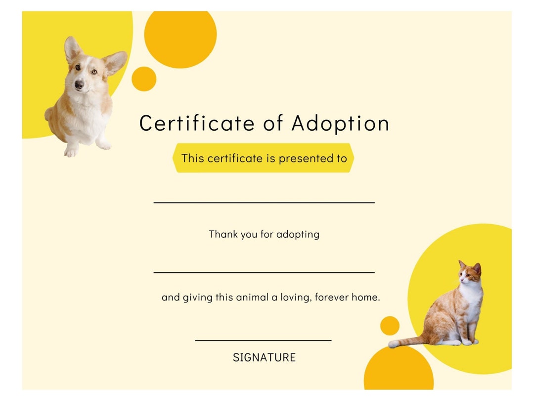 Pet Adoption Certificate, Cat, Dog, Kitten, Puppy Adoption Certificate ...