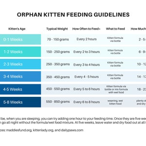 Foster Kitten Log/worksheet Packet, Foster Kitten Kit - XLSX, DOCX, PDF ...