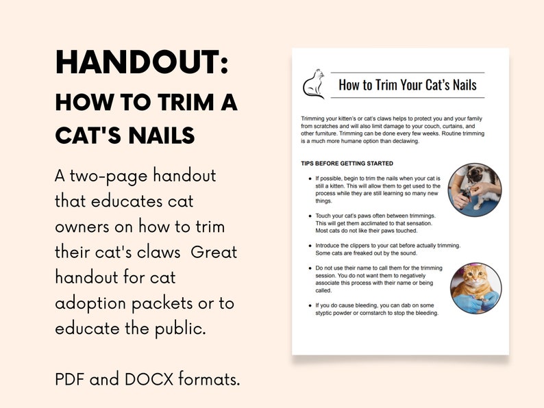 How to Trim a Cat's Nails, Handout for Pet Rescues, Humane Societies ...