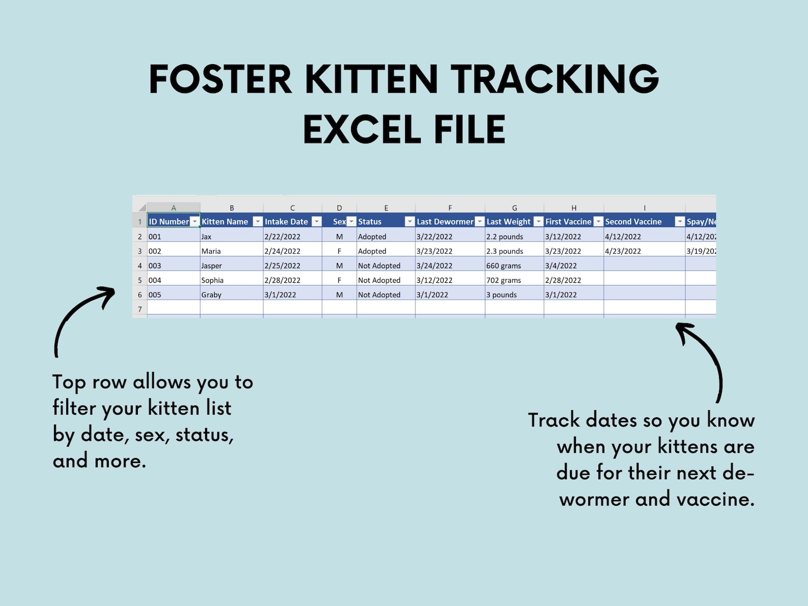 Foster Kitten Log/worksheet Packet, Foster Kitten Kit - XLSX, DOCX, PDF ...