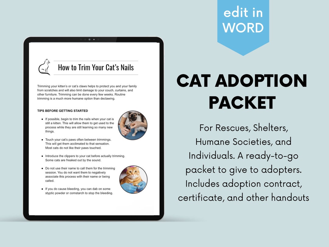 Cat Adoption Packet Handout for Shelters Rescues and - Etsy Australia