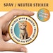 Spay Neuter Cat Sticker: TNR Vinyl Decal - Ginger Kitty - Etsy