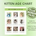 Kitten Age Chart (how to Determine the Age of a Kitten) PDF and JPG ...