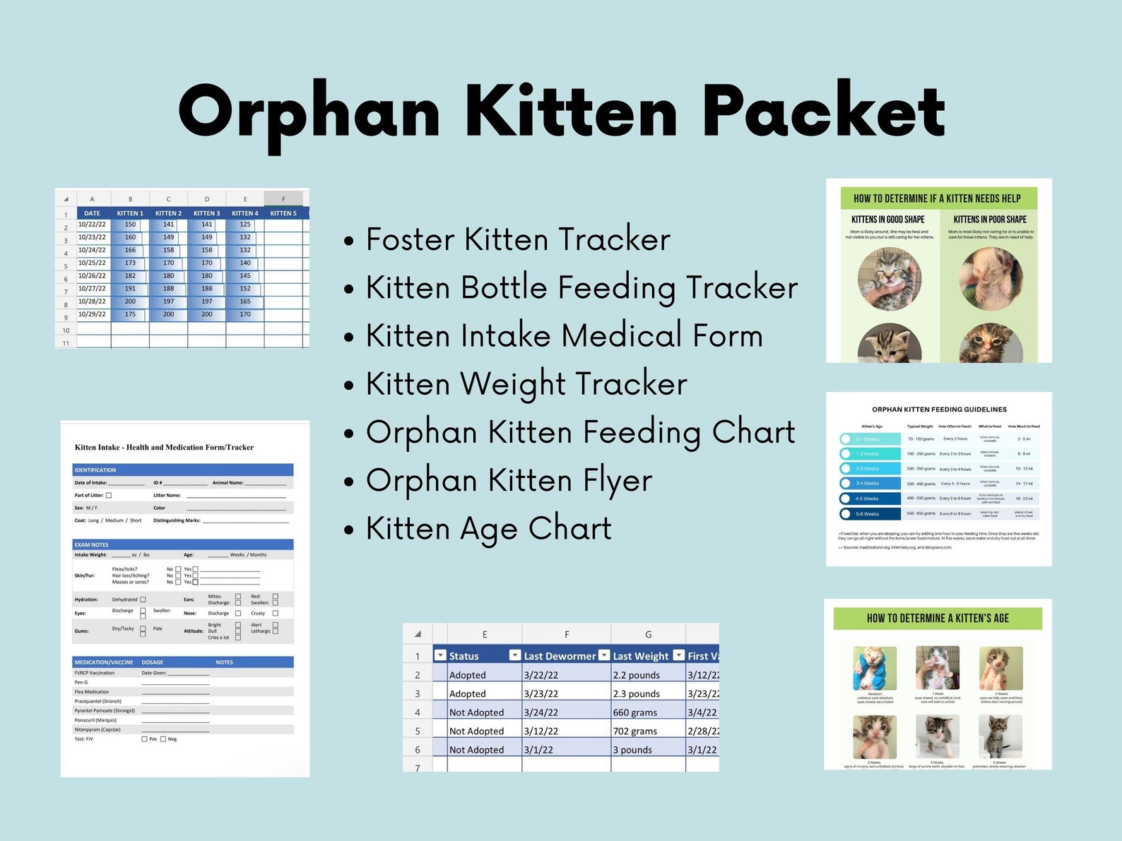 Foster Kitten Log/worksheet Packet, Foster Kitten Kit - XLSX, DOCX, PDF ...