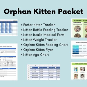 Foster Kitten Log/worksheet Packet, Foster Kitten Kit - XLSX, DOCX, PDF ...