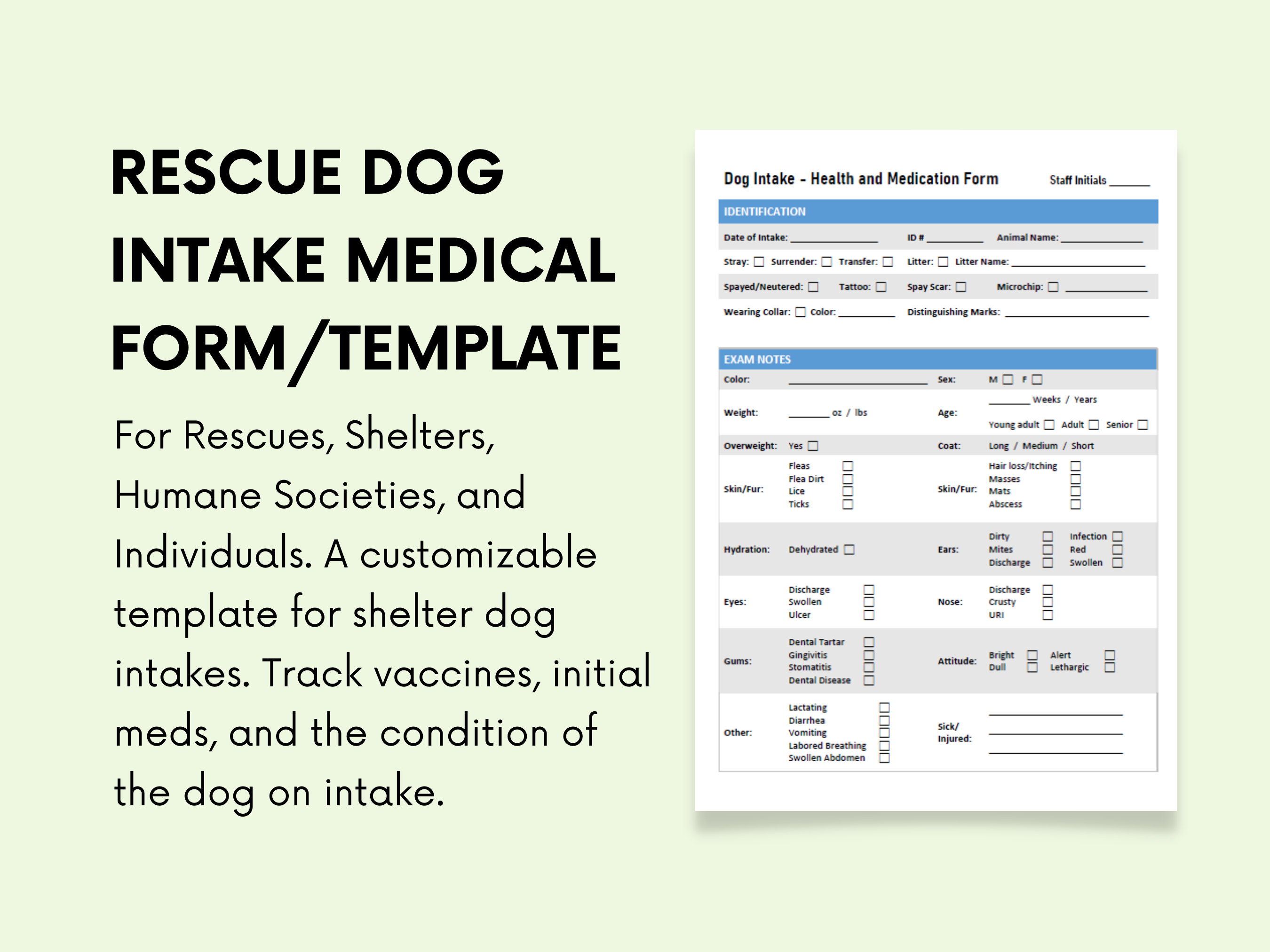 Dog Medical Intake Form (medication List, Health Checklist) for Rescues ...
