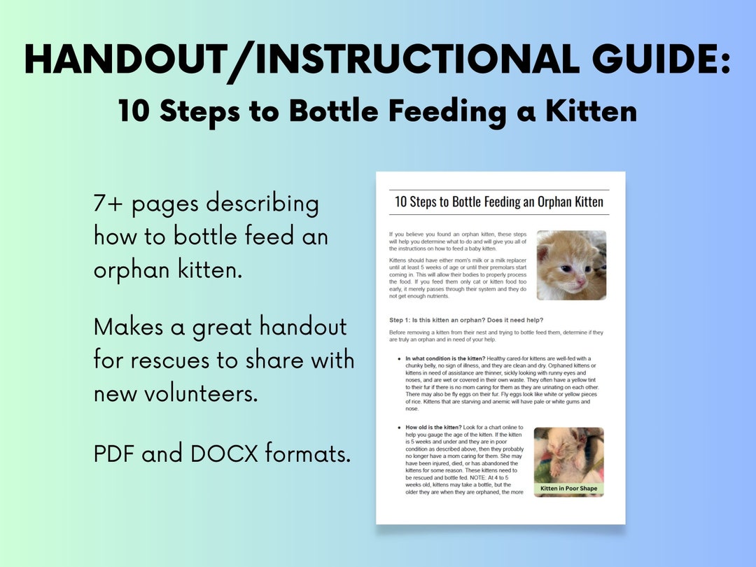 Handout / Instructional Guide: 10 Steps to Bottle Feeding a Kitten (PDF ...