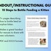Handout / Instructional Guide: 10 Steps to Bottle Feeding a Kitten PDF ...