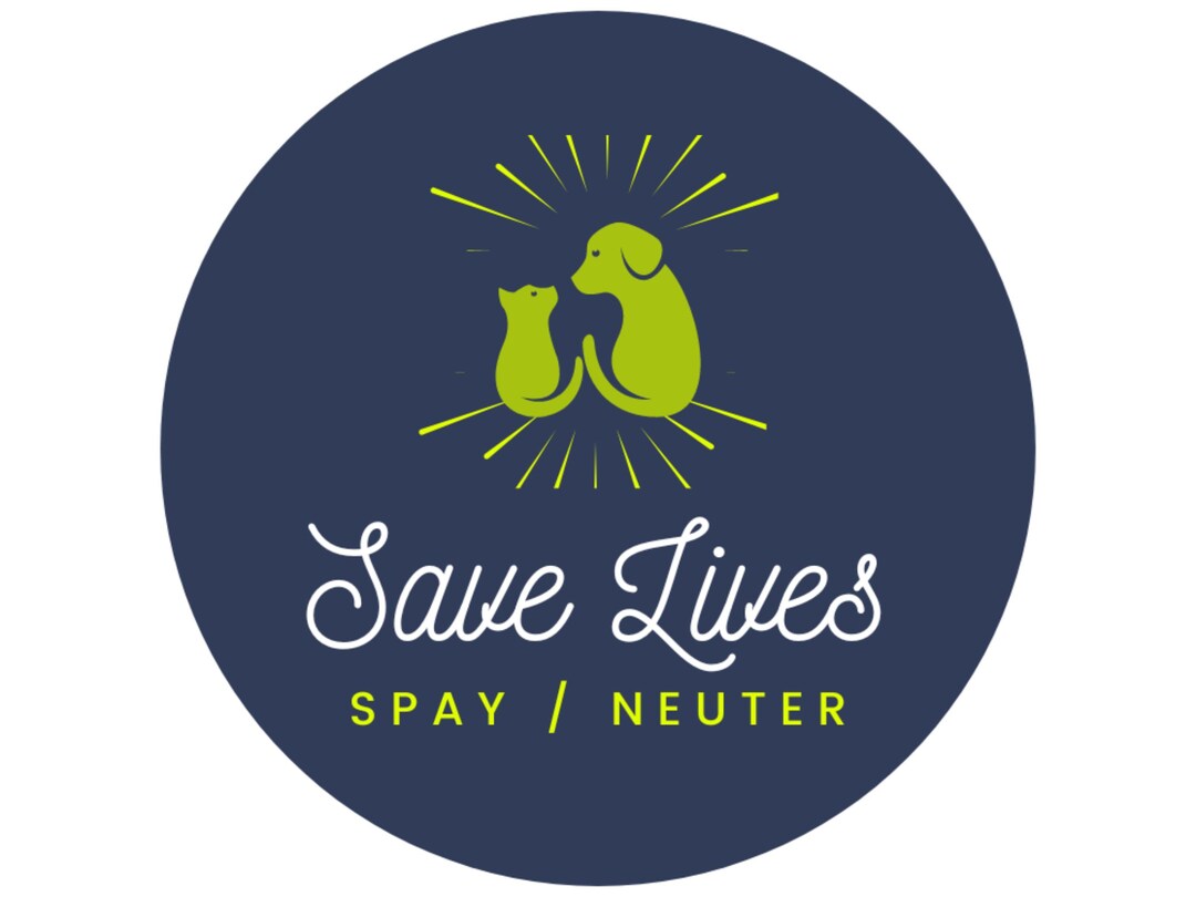 Save Lives, Spay/neuter, 2 or 3 Inch Round Sticker Design, TNR, Cat ...