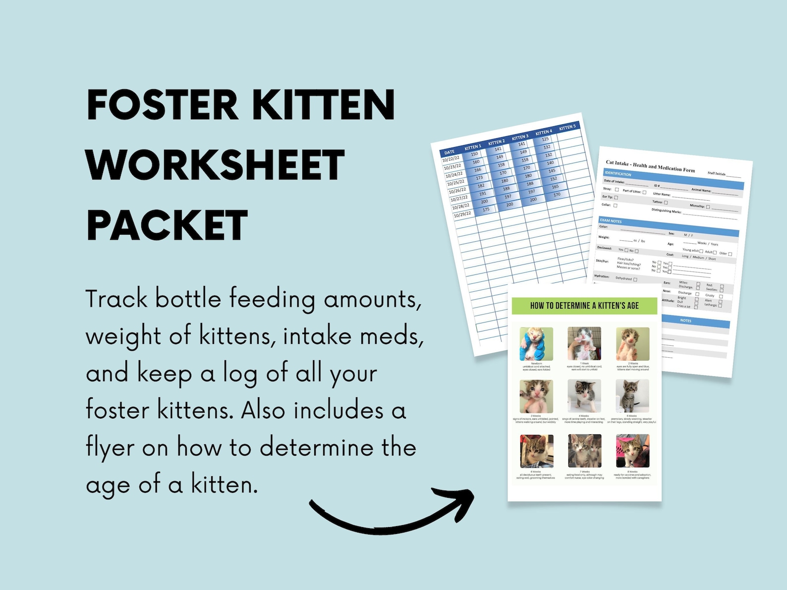 Foster Kitten Log/worksheet Packet, Foster Kitten Kit - XLSX, DOCX, PDF ...