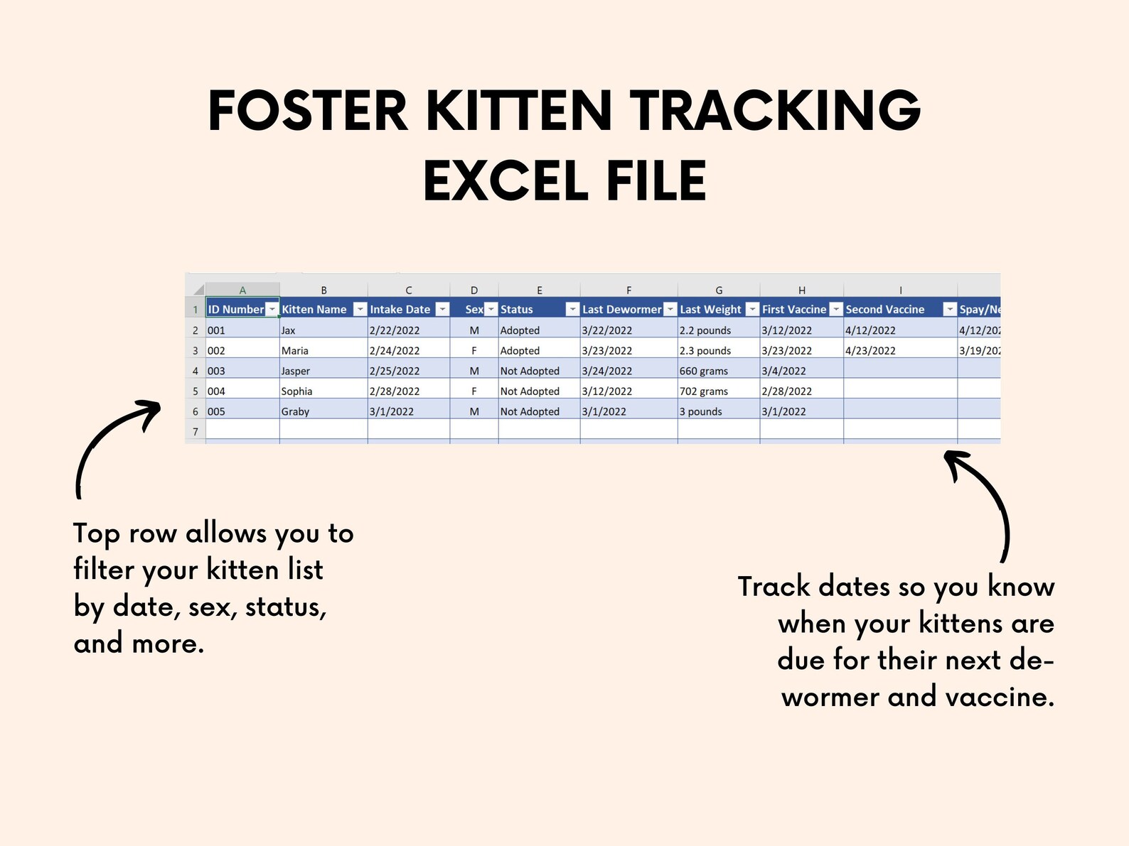 Foster Kitten Log/worksheet Packet Foster Kitten Kit XLSX - Etsy