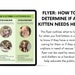 Foster Kitten Log/worksheet Packet, Foster Kitten Kit XLSX, DOCX, PDF ...