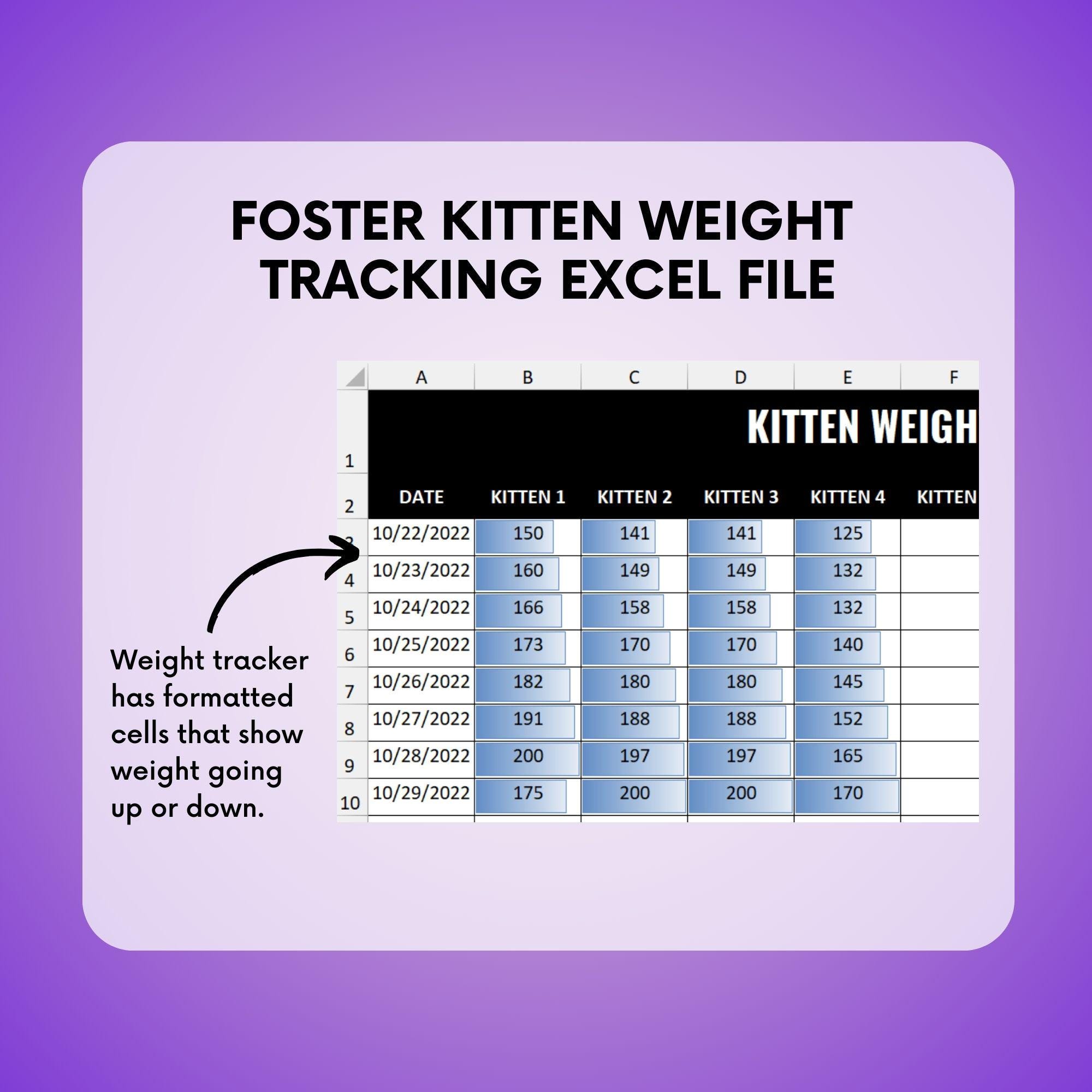Foster Kitten Log/worksheet Packet, Foster Kitten Kit - XLSX, DOCX, PDF ...
