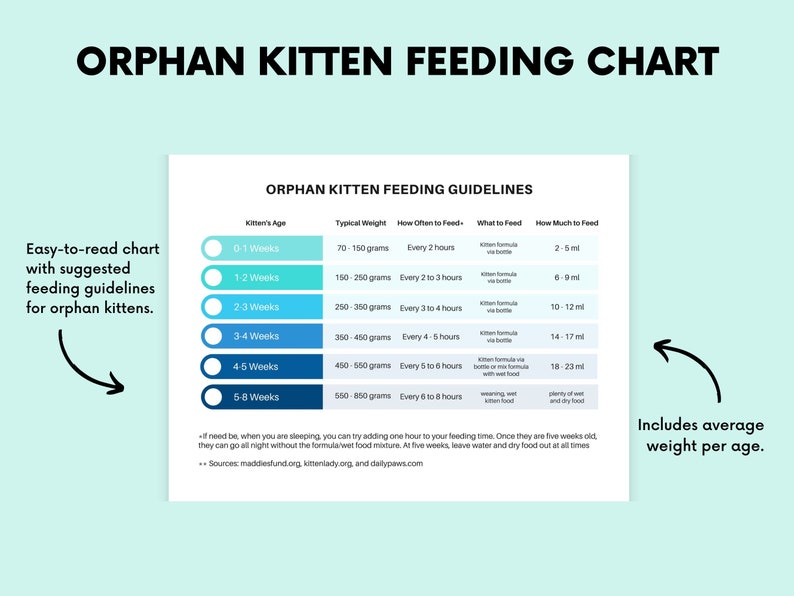 Orphan Kitten Feeding Chart Handout for Shelters, Rescues, and ...