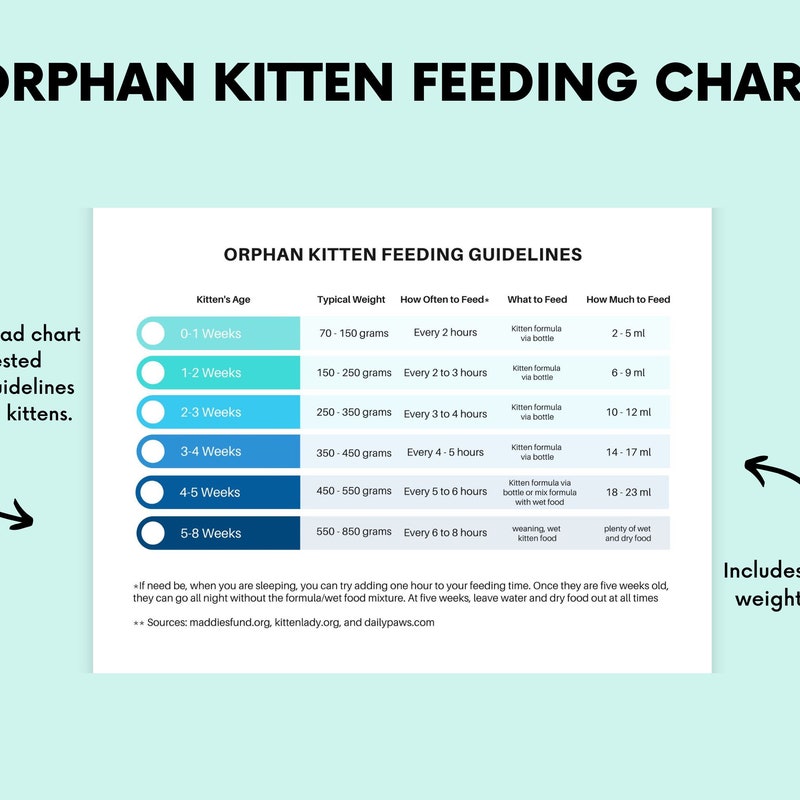 Litter Weight Chart - Etsy