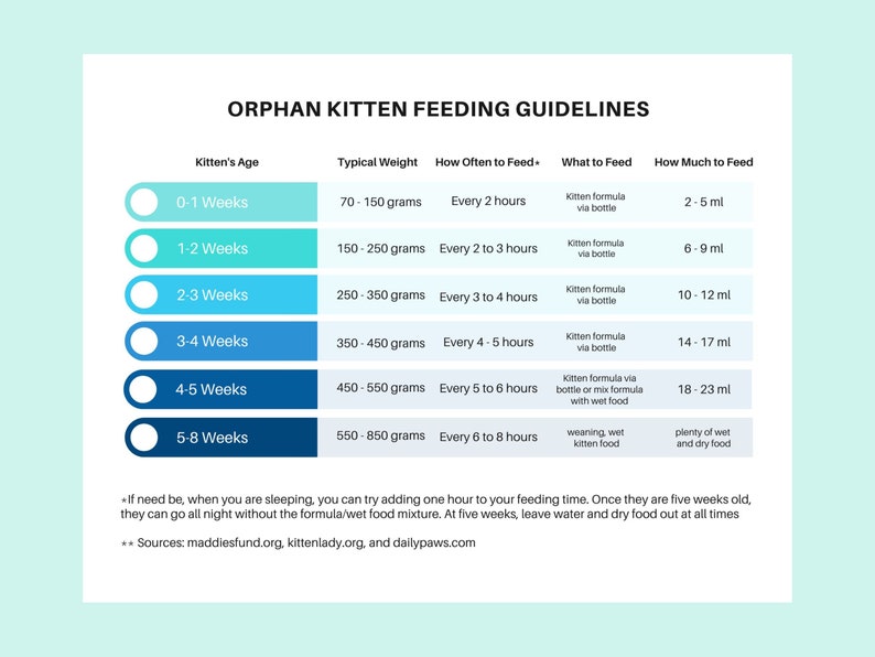 Orphan Kitten Feeding Chart Handout for Shelters, Rescues, and ...