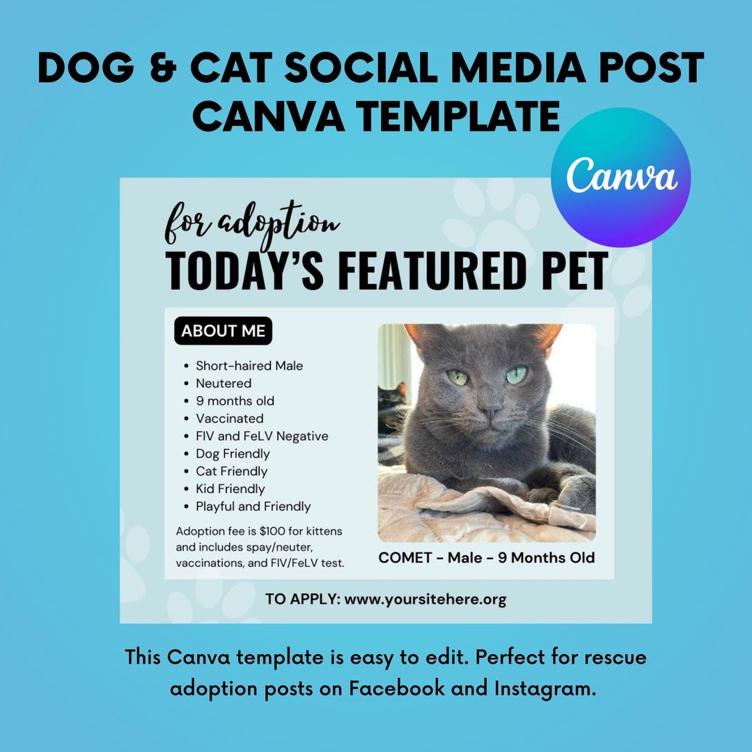Pet Adoption Social Media Post Template: Canva, Facebook, Instagram ...