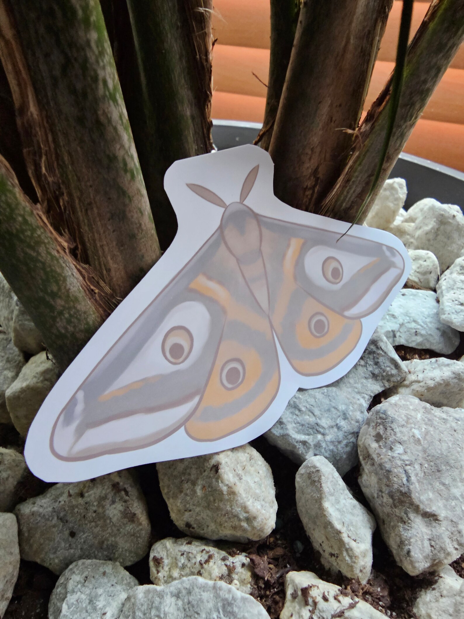 Creepy Moth Sticker Collection Dark Academia Cryptidcore Sticker - Etsy