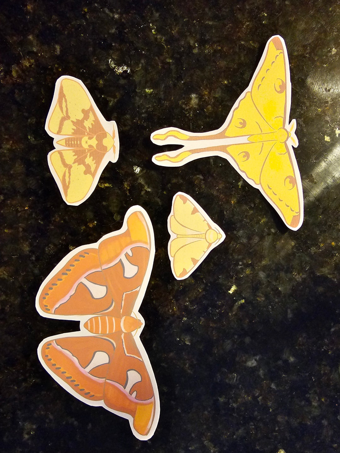 Moth Sticker Collection Warm Colors up to Four Moth Stickers - Etsy