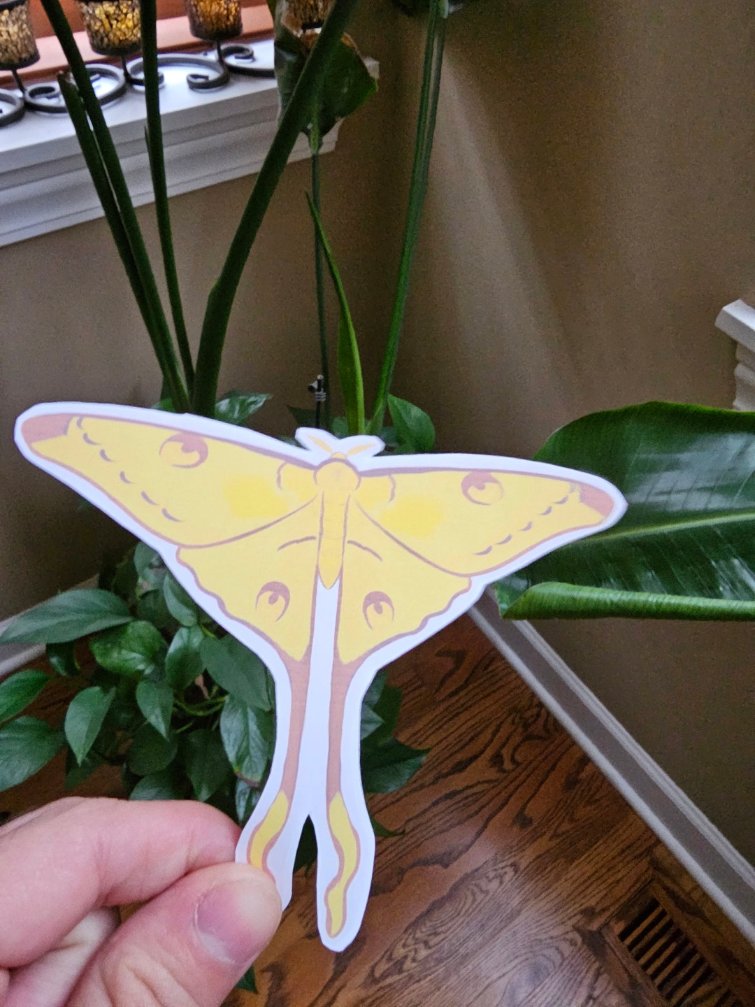 Comet Moth Sticker Vinyl Sticker for Laptops Computers and Other Dark ...