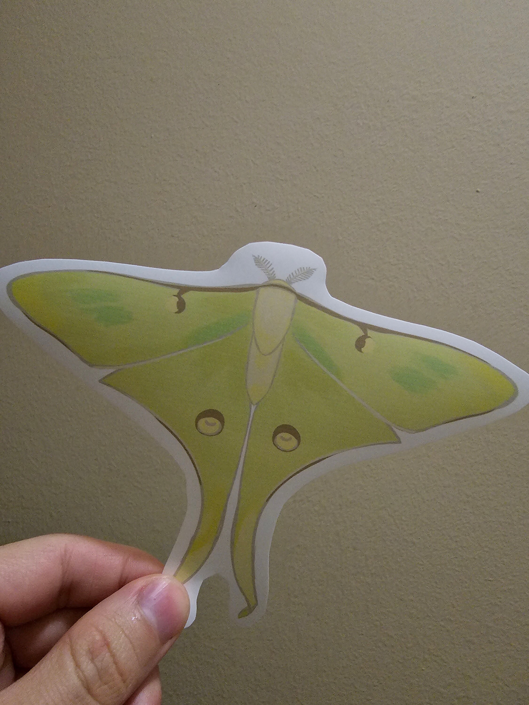 Moth Stickers Luna Moth Sticker Set Nighttime Moth Stickers for ...