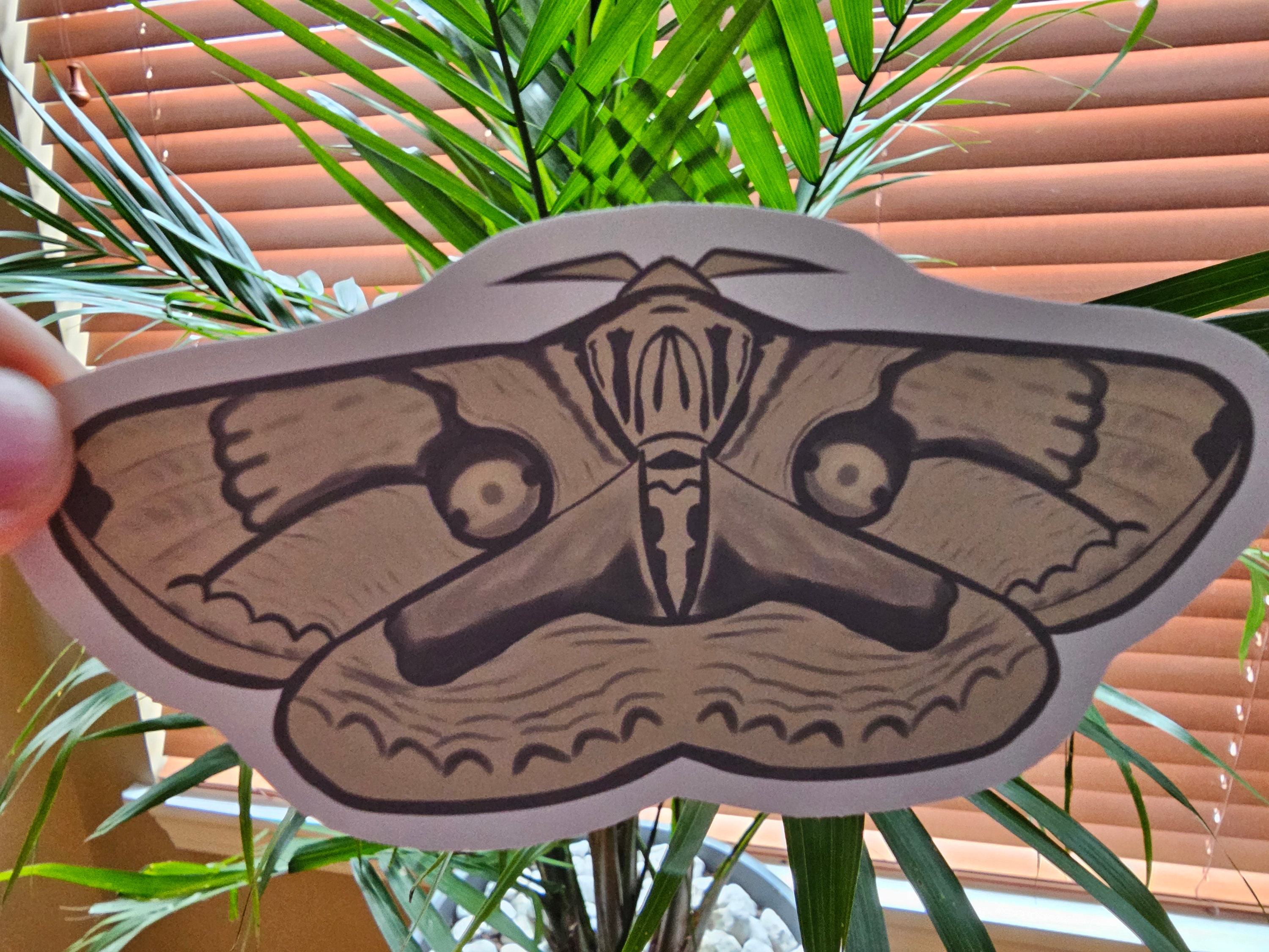 Owl Moth Sticker Creepy Moth Sticker for Laptops Thermoses and Computer ...