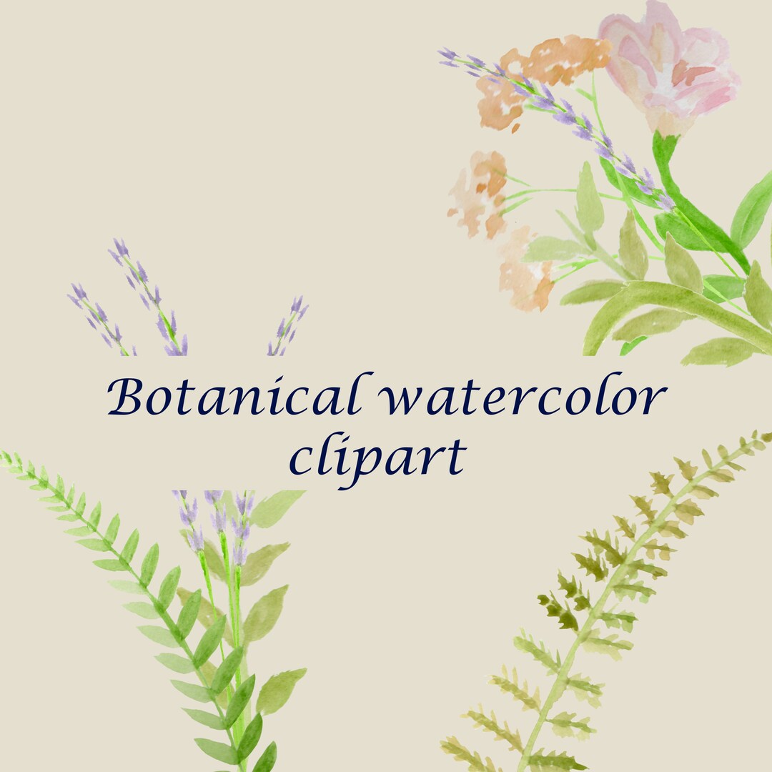 Floral Clipart Flower Botanical Watercolor Clipart Digital Download ...