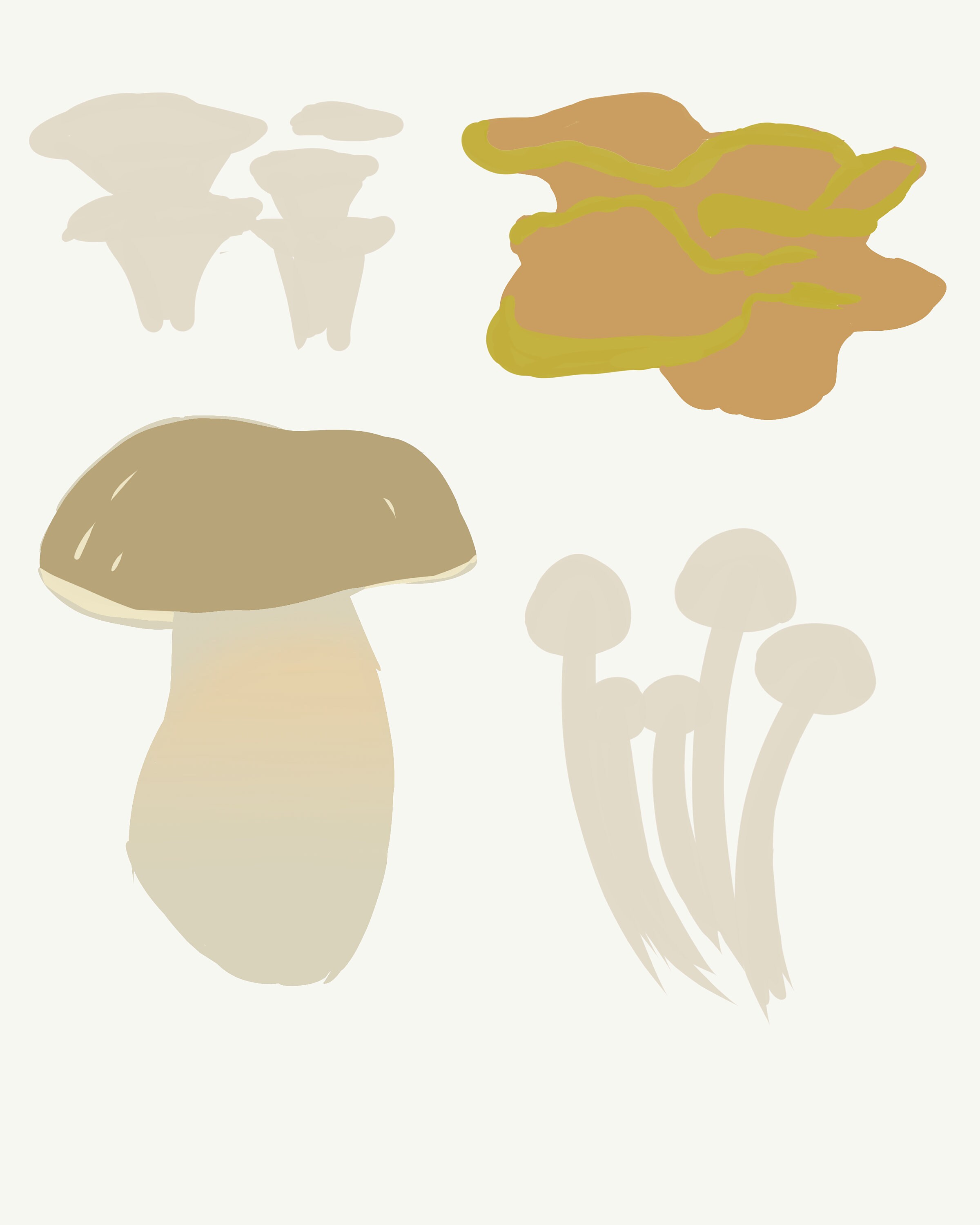 Minimalistic Fall Plant and Mushroom Digital Printables - Etsy