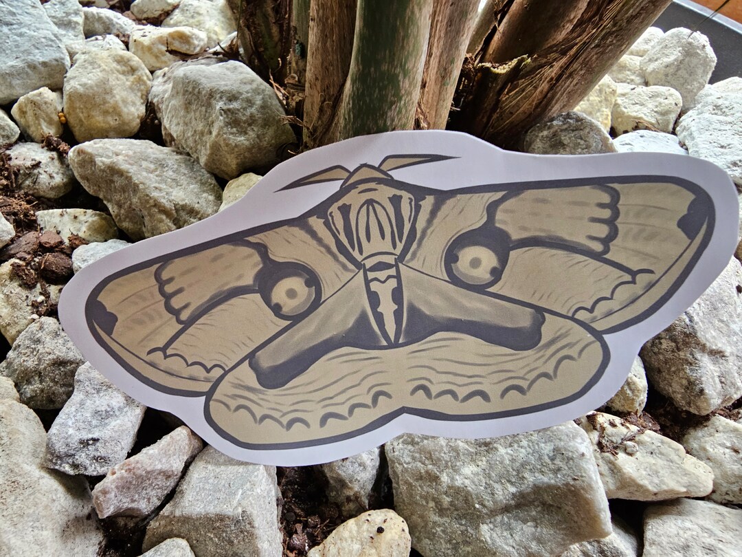 Owl Moth Sticker Creepy Moth Sticker for Laptops Thermoses and Computer ...