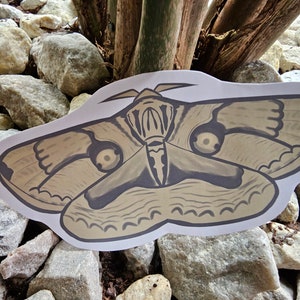 Owl Moth Sticker Creepy Moth Sticker for Laptops Thermoses and Computer ...