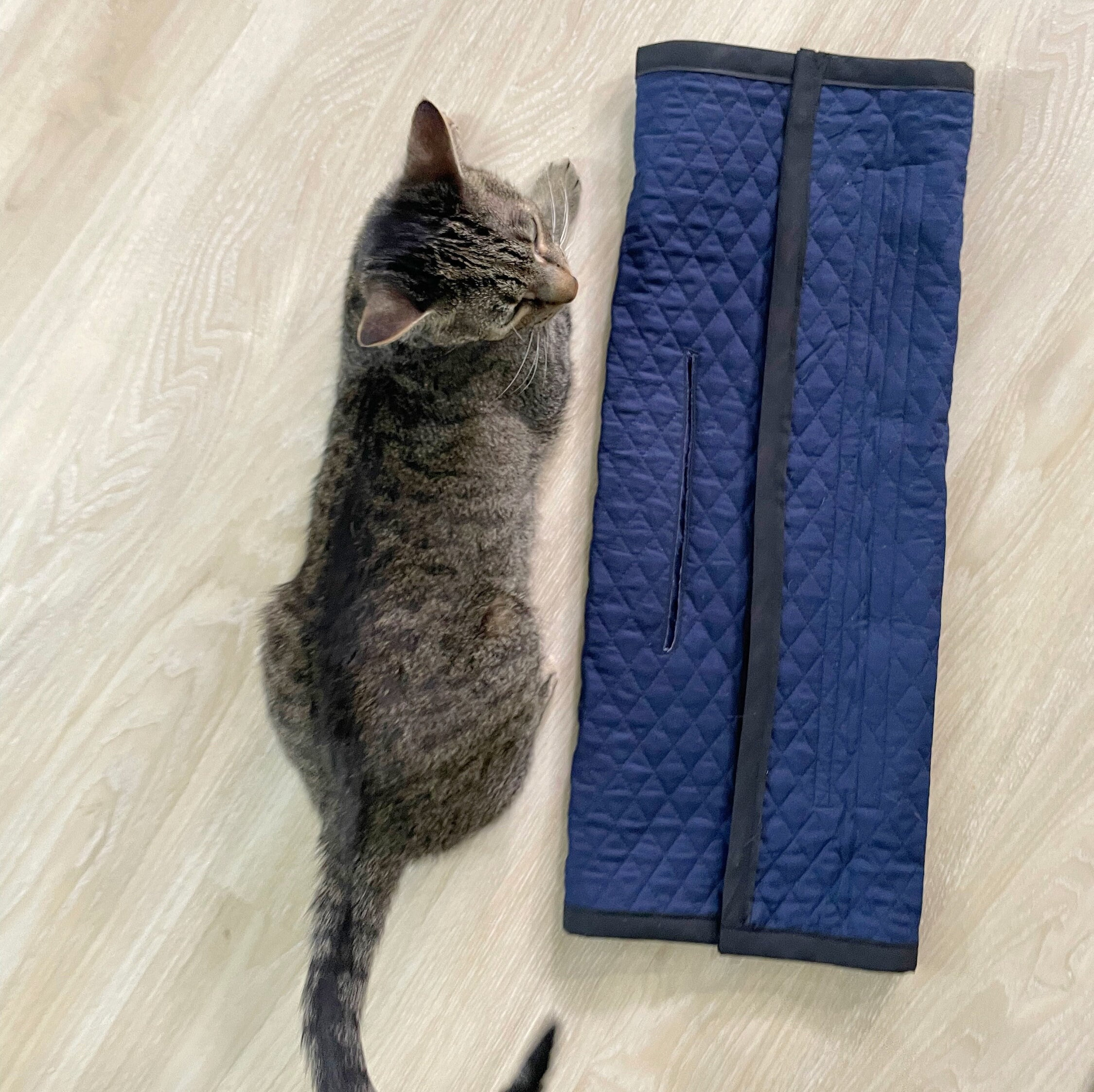 FIP Injection Subcutaneous Fluid Sleeve Wrap Purrito Velcro Vest FIP ...