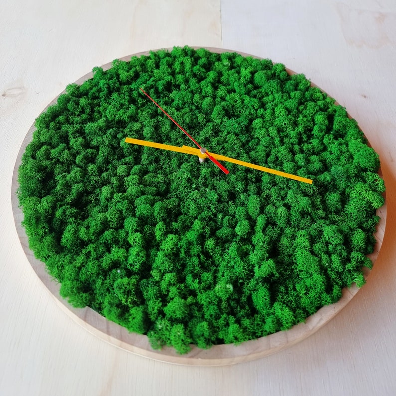 Moss Clock. Cosy Vibes Greenwall. Wall Clock. Golf, Moss Wall Art ...