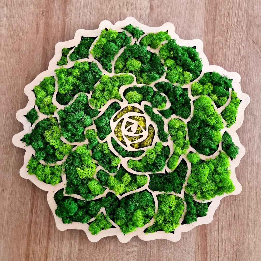 Moss Wall Art. Cosy Vibes Greenwall. Earth Tone. Home Decor. - Etsy