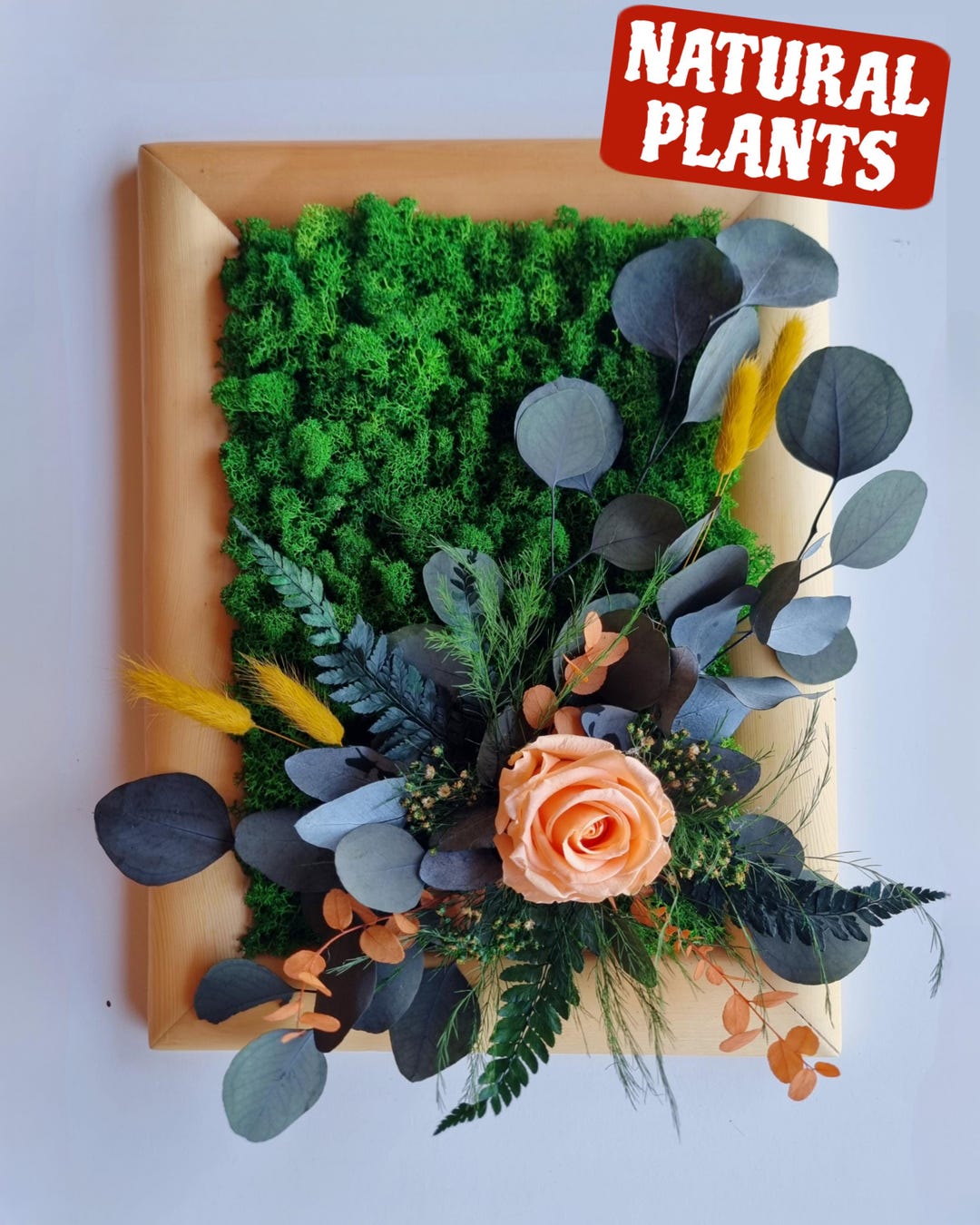 Moss Art. Deco Plants. Biophilic Design. Preserved Plants. Interior ...