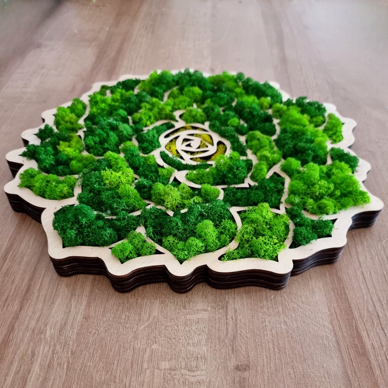 Moss Wall Art. Cosy Vibes Greenwall. Earth Tone. Home Decor. - Etsy