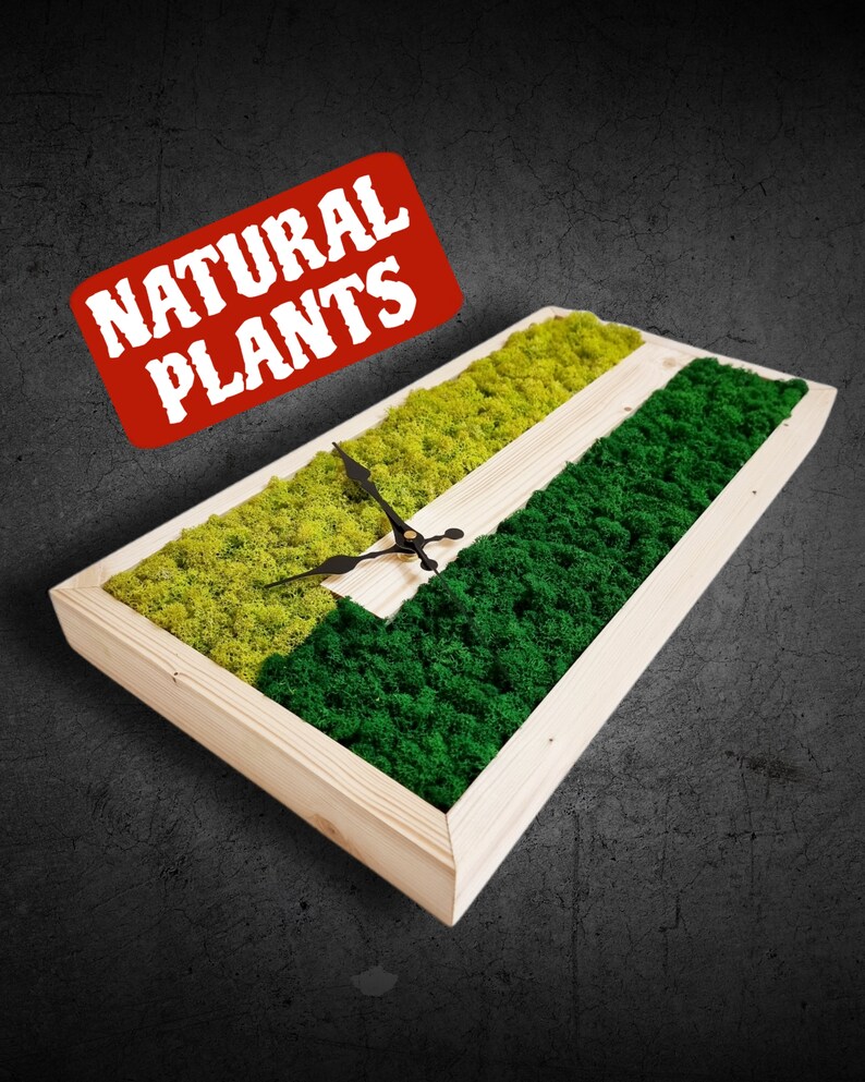 Moss Clock. Moss Wall. Wall Clock. Biophilia. Home Decor. Cosy Vibes ...