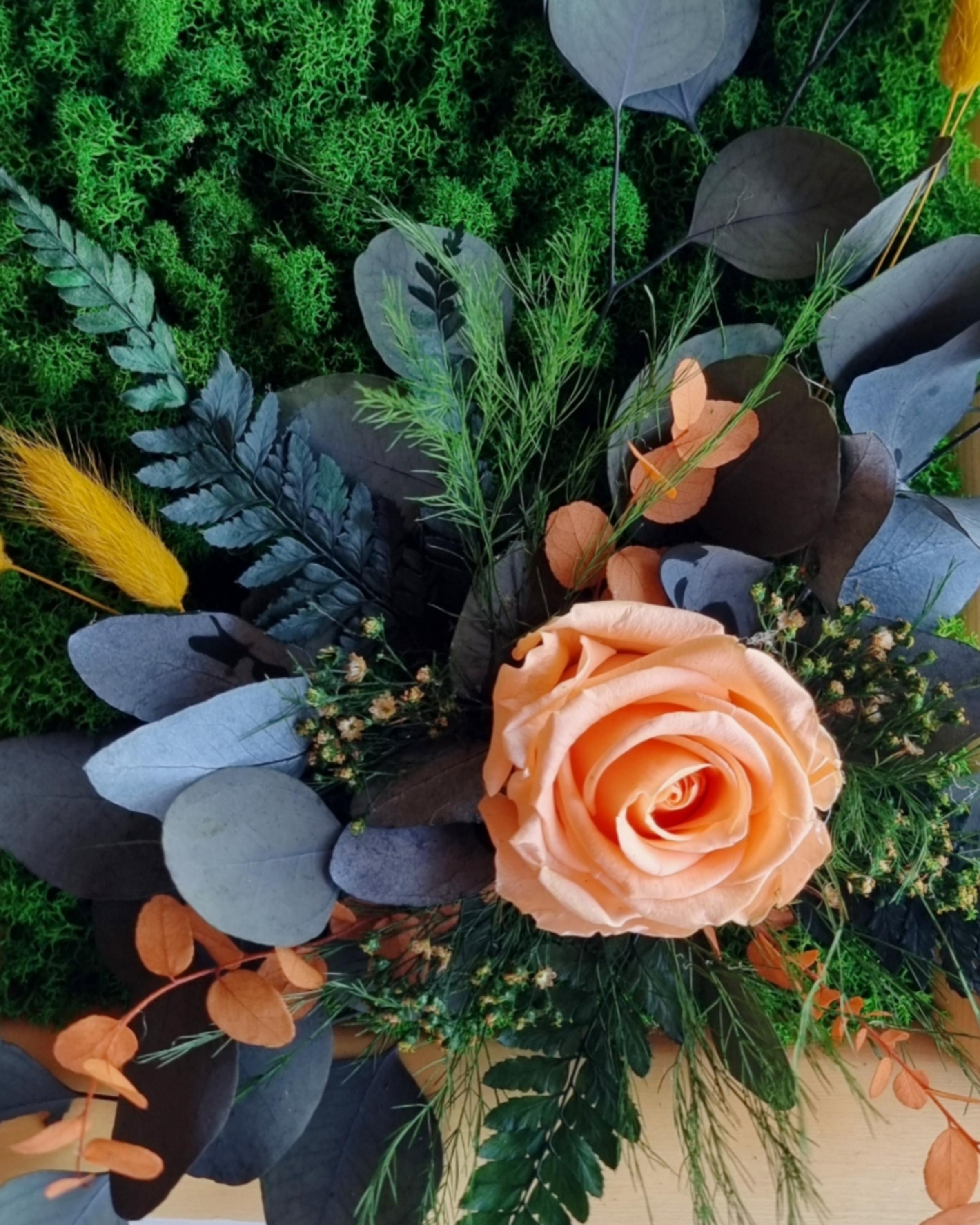 Moss Art. Deco Plants. Biophilic Design. Preserved Plants. Interior ...