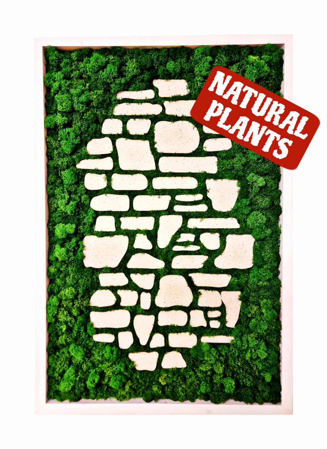 Nature Wall Art. Moss Wall. Biophilia. Greenwall. Cosy Vibes. Earth ...