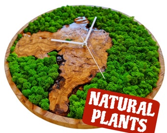 Moss Clock. Moss Wall. Wall Clock. Biophilia. Home Decor. Cosy Vibes ...