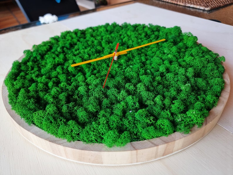 Moss Clock. Cosy Vibes Greenwall. Wall Clock. Golf, Moss Wall Art ...