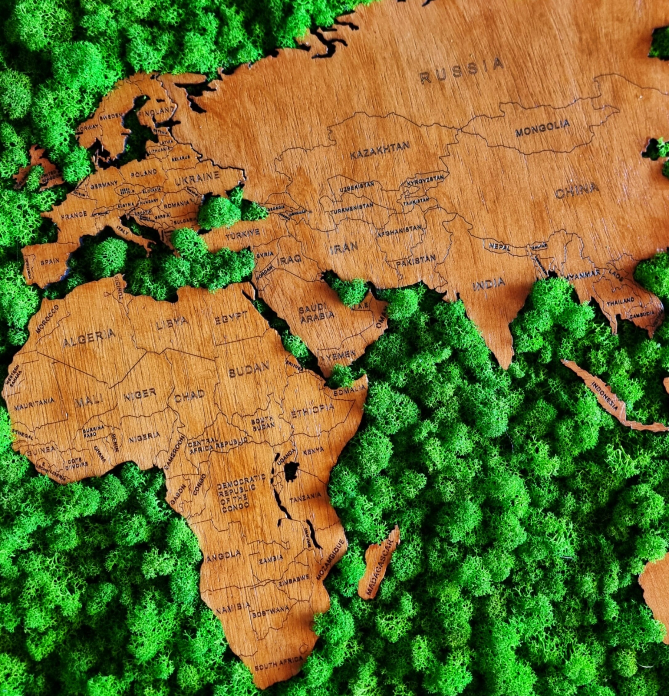 Nature Wall Art. World Map. Moss Map. Cosy Vibes. Preserved Moss. Map ...