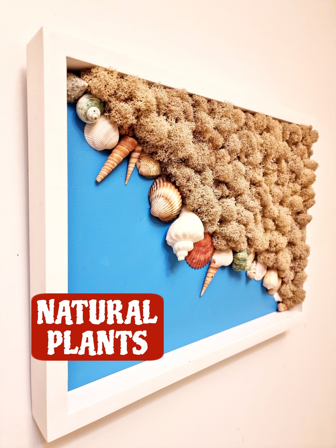 Nature Wall Art. Shells Wall Art. Biophilia. Greenwall. Moss Art ...