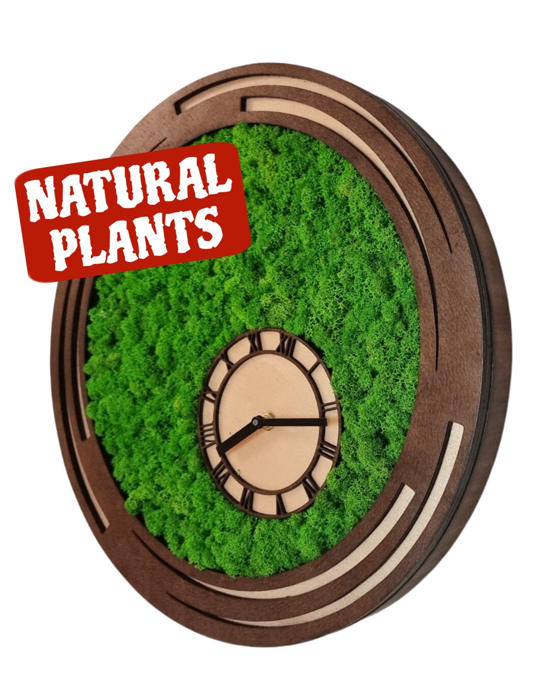 Moss Clock. Cosy Vibes Greenwall. Wall Clock. Preserved Moss. Moss Art ...