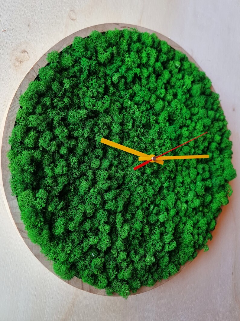 Moss Clock. Cosy Vibes Greenwall. Wall Clock. Golf, Moss Wall Art ...