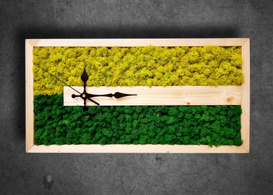 Moss Clock. Moss Wall. Wall Clock. Biophilia. Home Decor. Cosy Vibes ...