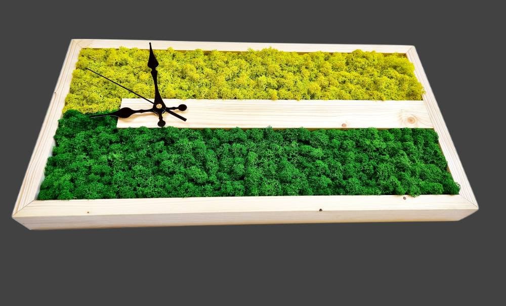Moss Clock. Moss Wall. Wall Clock. Biophilia. Home Decor. Cosy Vibes ...